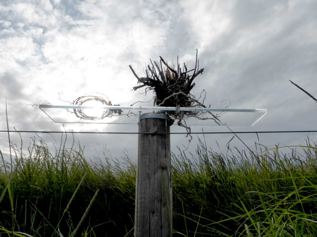 Jan Miller | 62 Group of Textile Artists